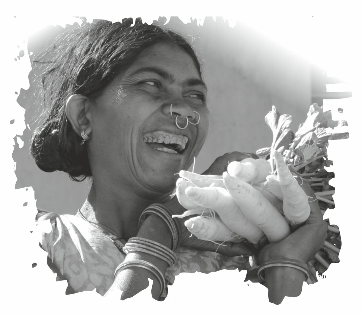 Sustainable Livelihood – SOVA – South Odisha Voluntary Action